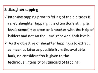 Rubber hrvest and processing 3 | PPTX