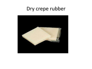 Rubber hrvest and processing 3 | PPTX