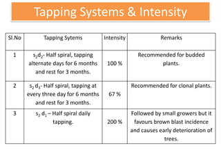 Rubber hrvest and processing 3 | PPTX
