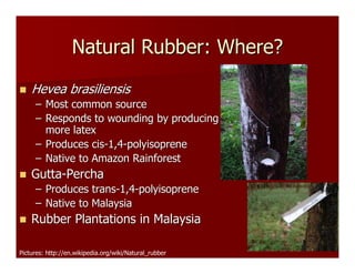 Rubber presentation (1) | PDF