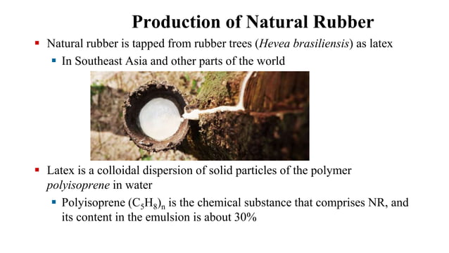 Rubber processing 1 | PPTX