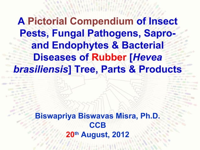 A Pictorial Compendium of Insect Pests, Fungal Pathogens, Sapro- and ...
