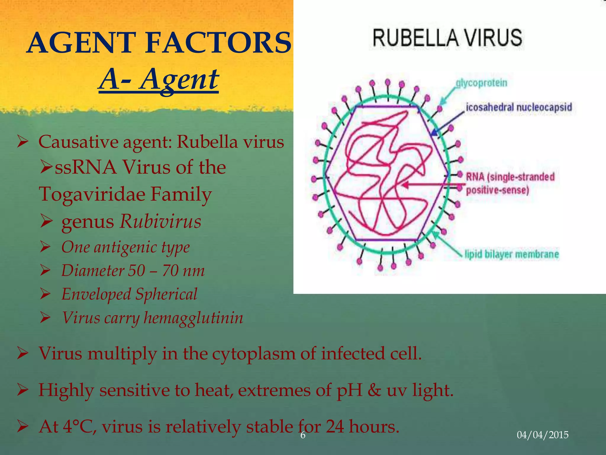 Rubella | PPTX