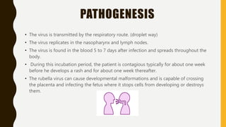 Rubella | PPTX