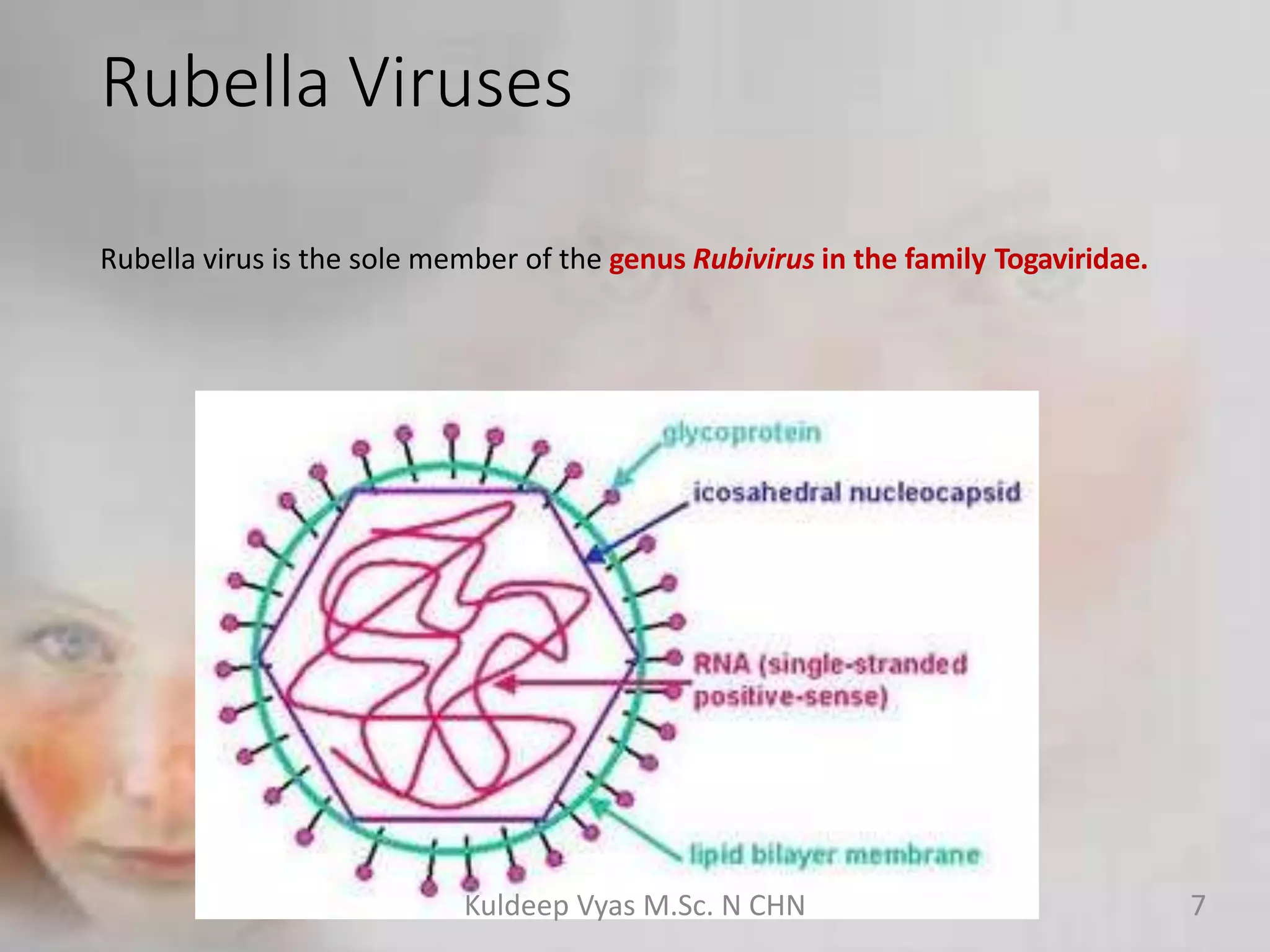 Rubella (German Measles) | PPTX