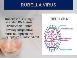 Rubella slide | PPTX