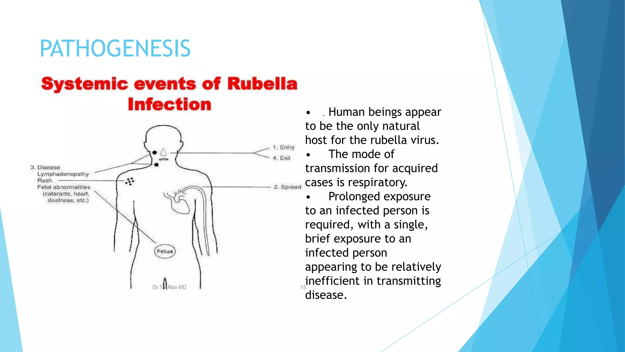 Rubella virus | PPTX | Infectious Diseases | Diseases and Conditions