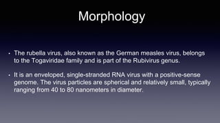 Rubella Virus.pptx