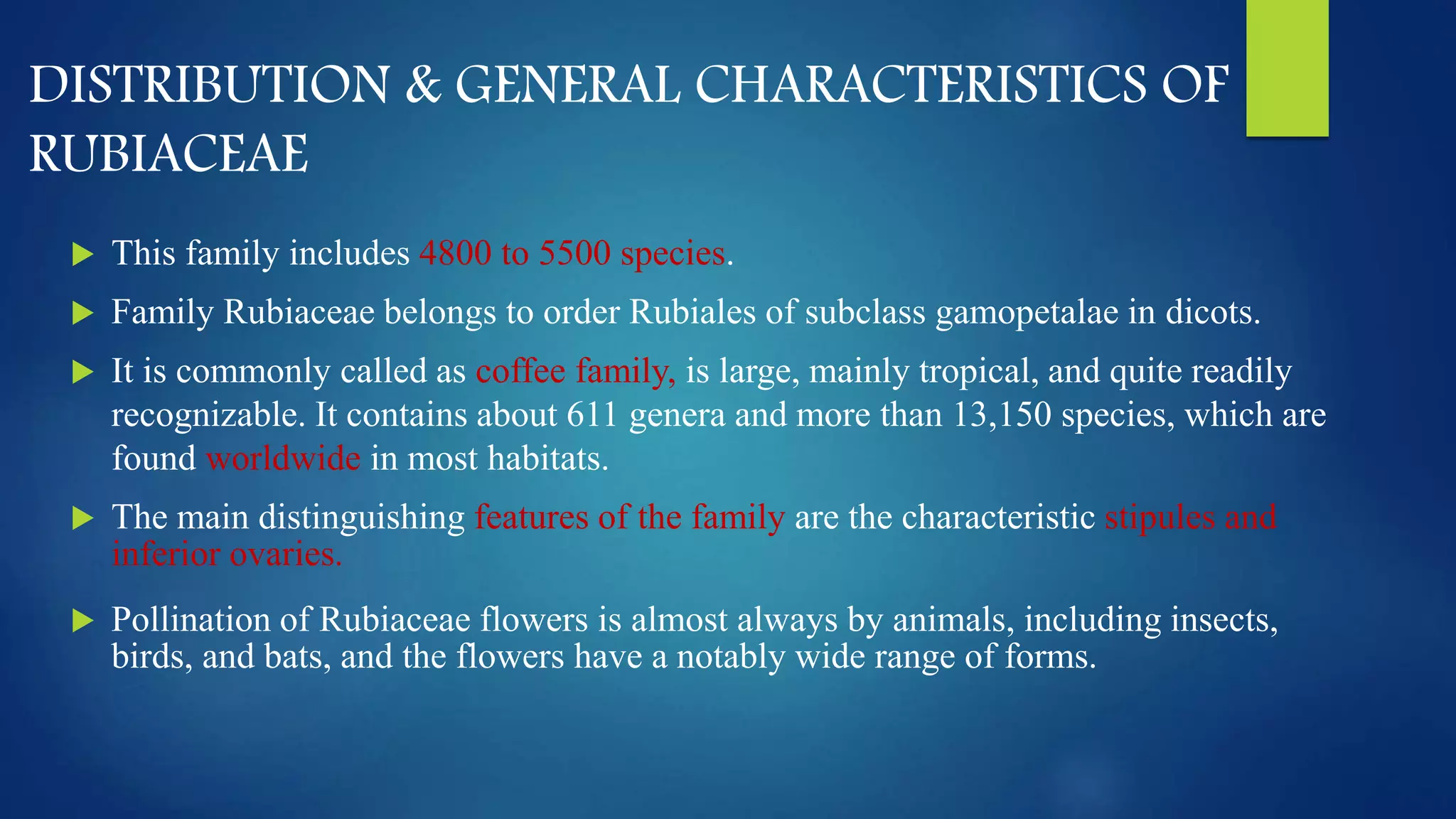 Rubiaceae | PPTX
