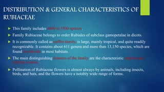 Rubiaceae | PPTX