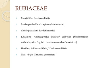 Rubiaceae | PPTX