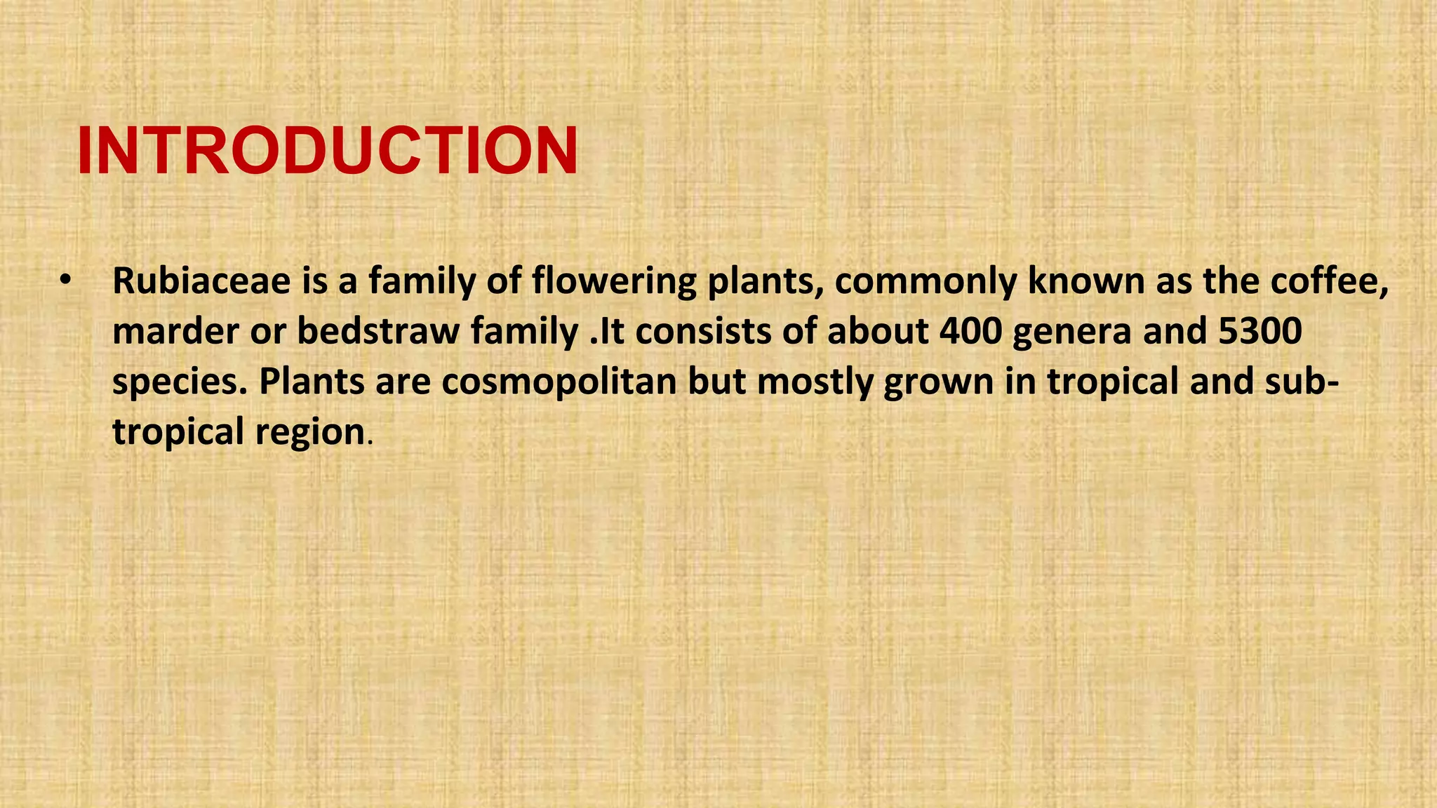 Family Rubiaceae.pptx