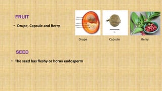 Family Rubiaceae.pptx