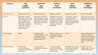 Rubina kidney 123-2.pptx | Free Download