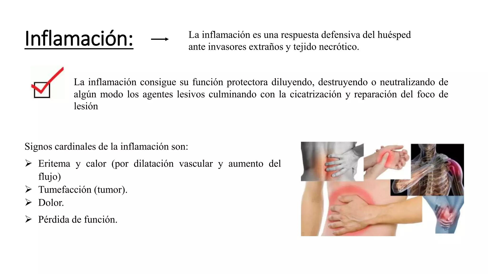 Inflamación, necrosis y apendicitis aguda | PPTX