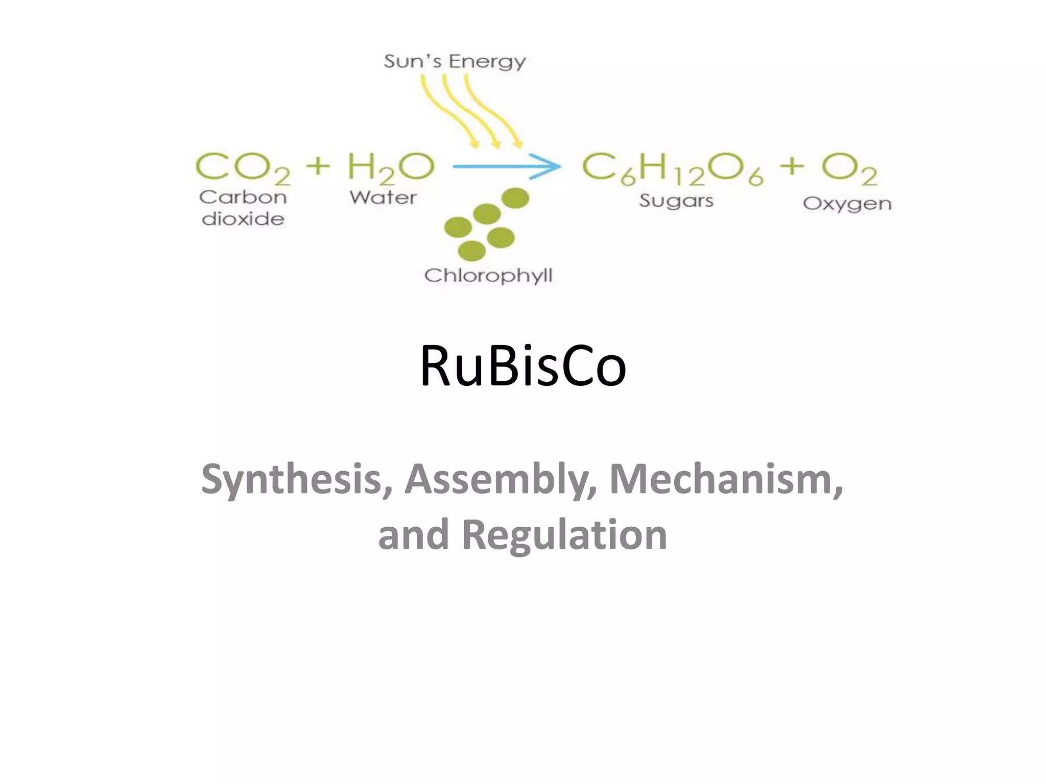 RuBisCo.ppt