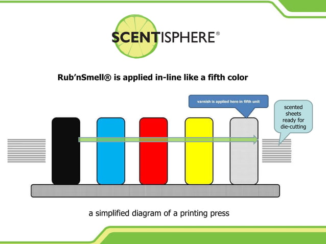 Rubn Smell Presentation | PPT