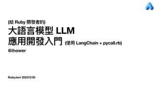 ⼤語⾔模型 LLM 應⽤開發入⾨ | PDF