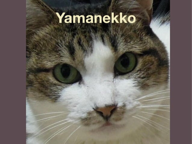 Writing mruby Debugger | PDF