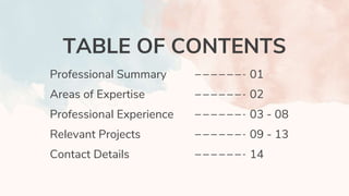 Ruby Fullstack Development Portfolio | PPTX