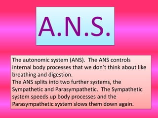 Rubys power point | PPTX