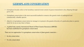 Haploid plant production and germplasm conservation of plants | PPTX