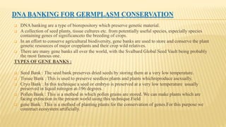 Haploid plant production and germplasm conservation of plants | PPTX