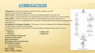 Haploid plant production and germplasm conservation of plants | PPTX