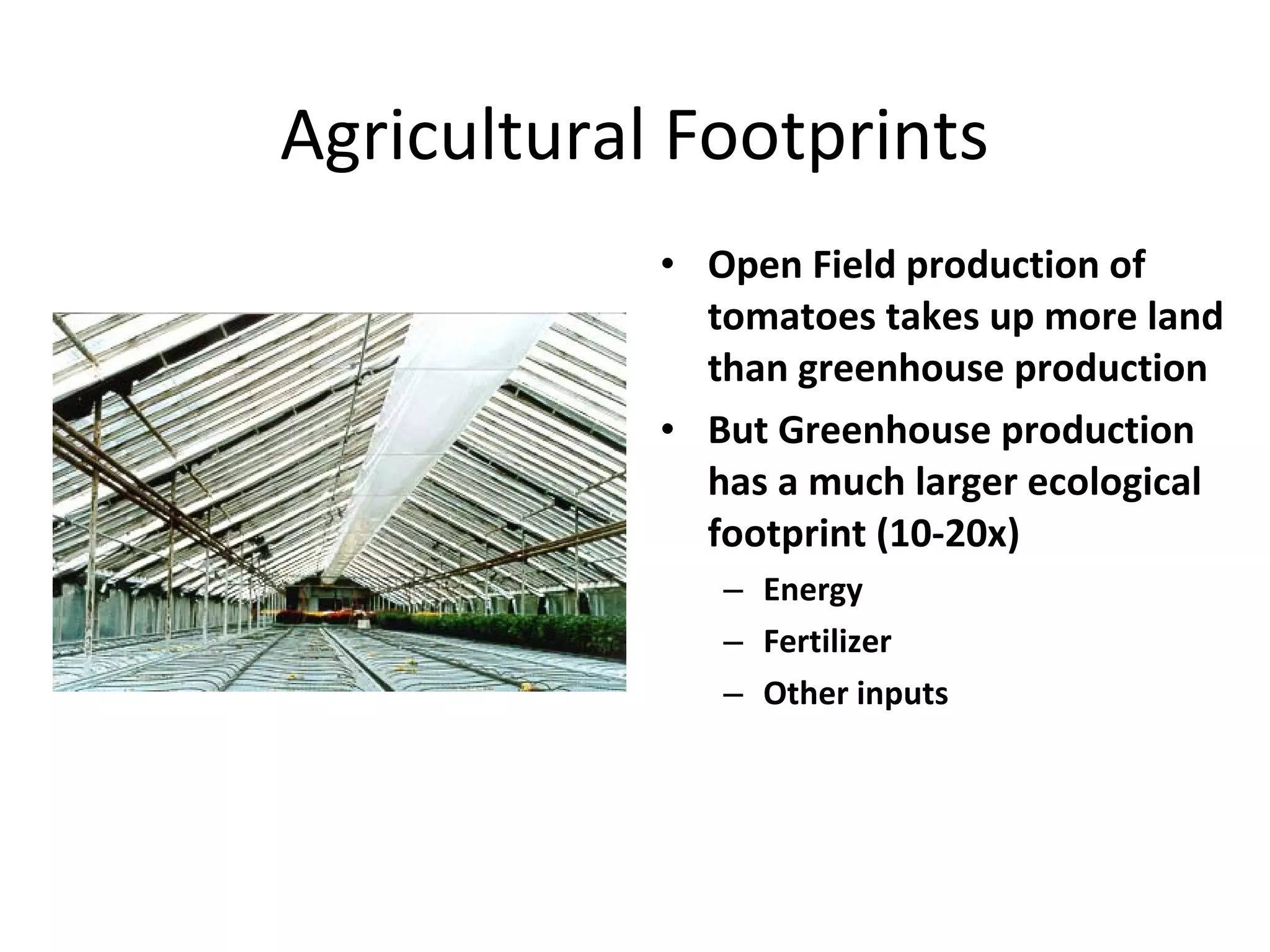ecological footprinting | PPT