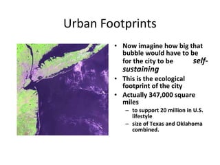 ecological footprinting | PPT