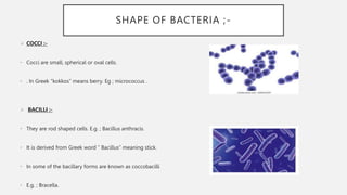 Microbiology | PPT