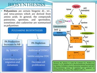 Neuroblastoma research paper(2015) | PPTX