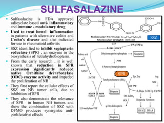 Neuroblastoma research paper(2015) | PPTX