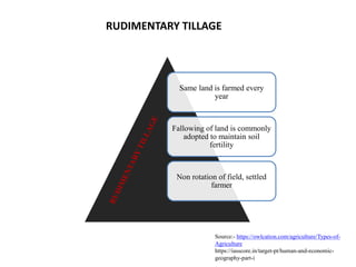Rudimentary Tillage | PPTX