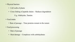 RUDP and RDP.pptx digestion and utilization | PPTX