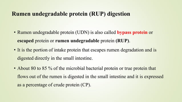RUDP and RDP.pptx digestion and utilization | PPTX | Digestive ...