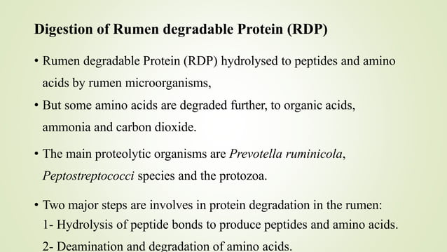 RUDP and RDP.pptx digestion and utilization | PPTX | Digestive ...