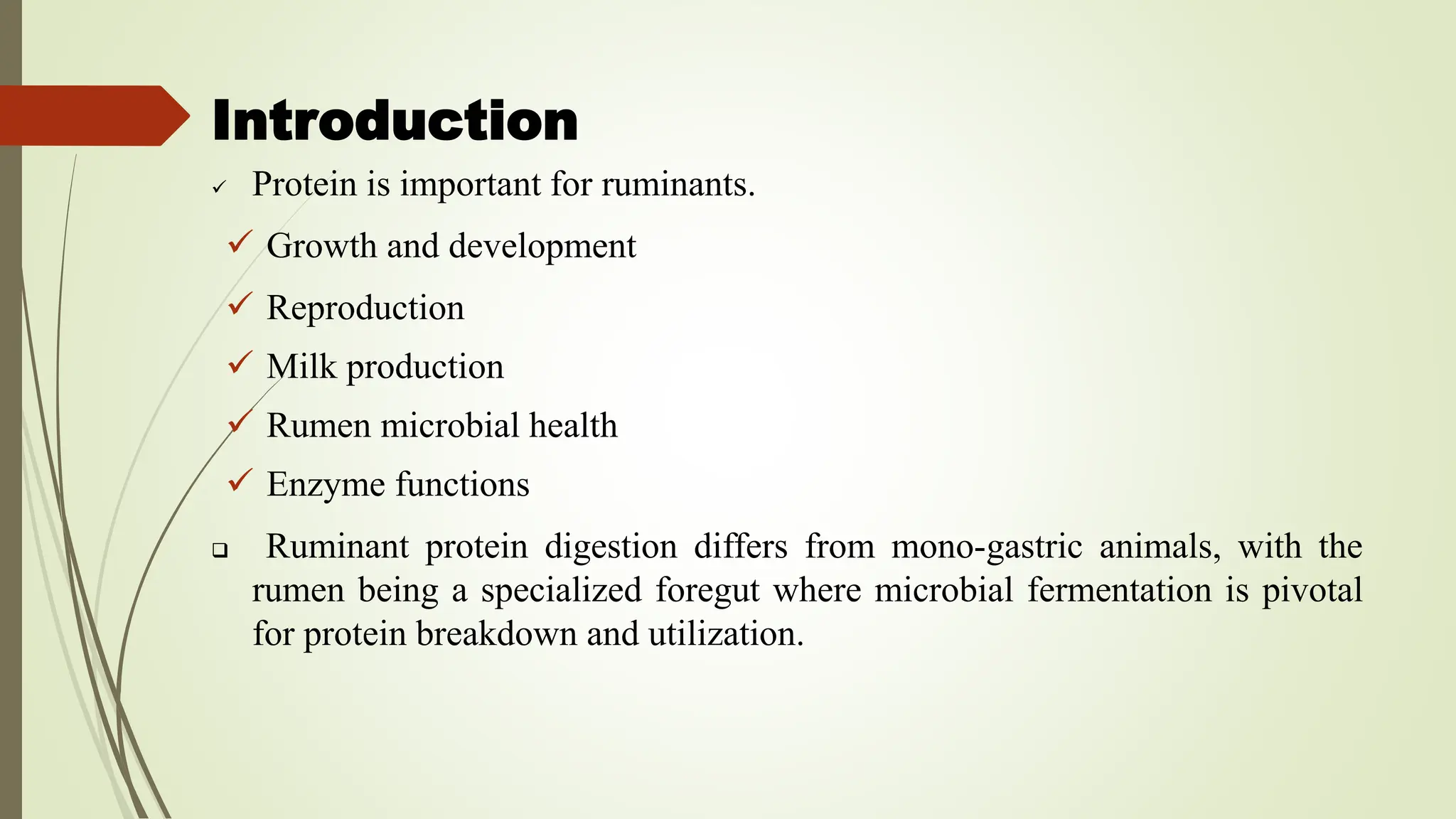 RUDP and RDP.pptx rumin degradable protein | PPTX