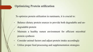 RUDP and RDP.pptx rumin degradable protein | PPTX