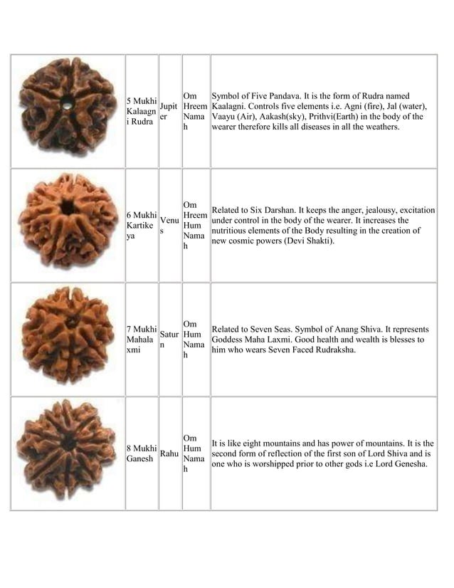 Rudraksha | DOCX | Hinduism | Religion & Spirituality