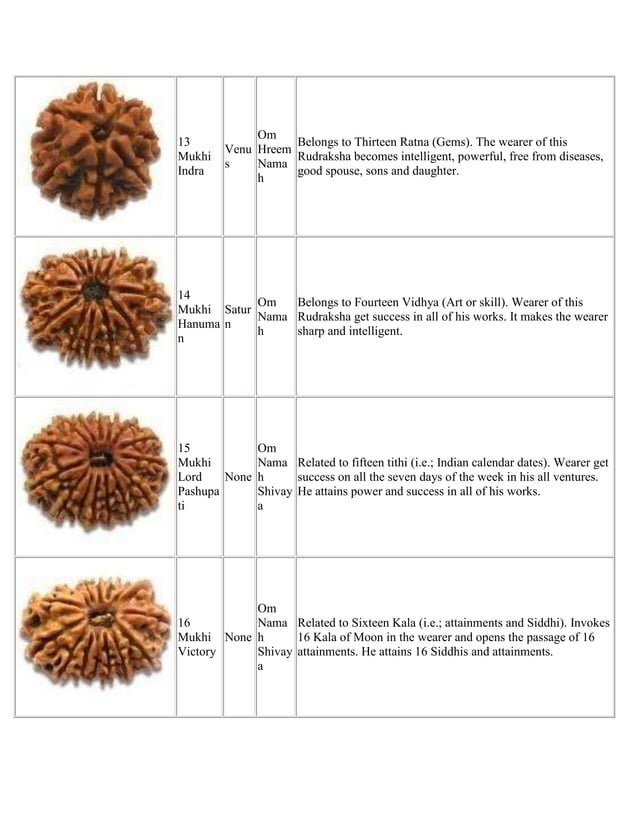 Rudraksha | DOCX | Hinduism | Religion & Spirituality