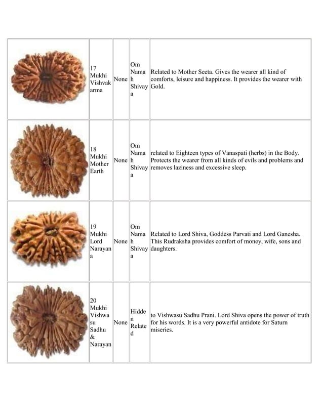 Rudraksha | DOCX | Hinduism | Religion & Spirituality