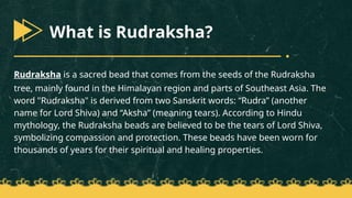 Rudraksha: A Guide to Its Types, Benefits, and Spiritual Significance ...
