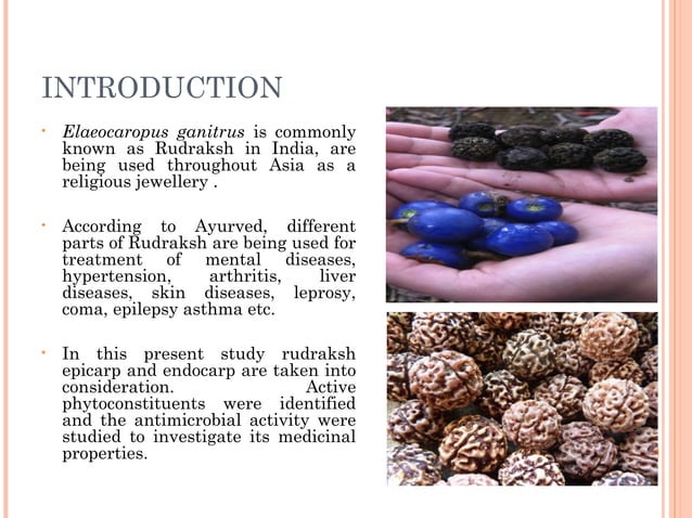 Rudraksh phytochemicals | PPT | Herbs and Supplements | Alternative ...