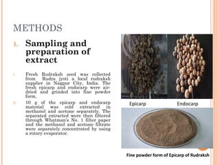 Rudraksh phytochemicals | PPT