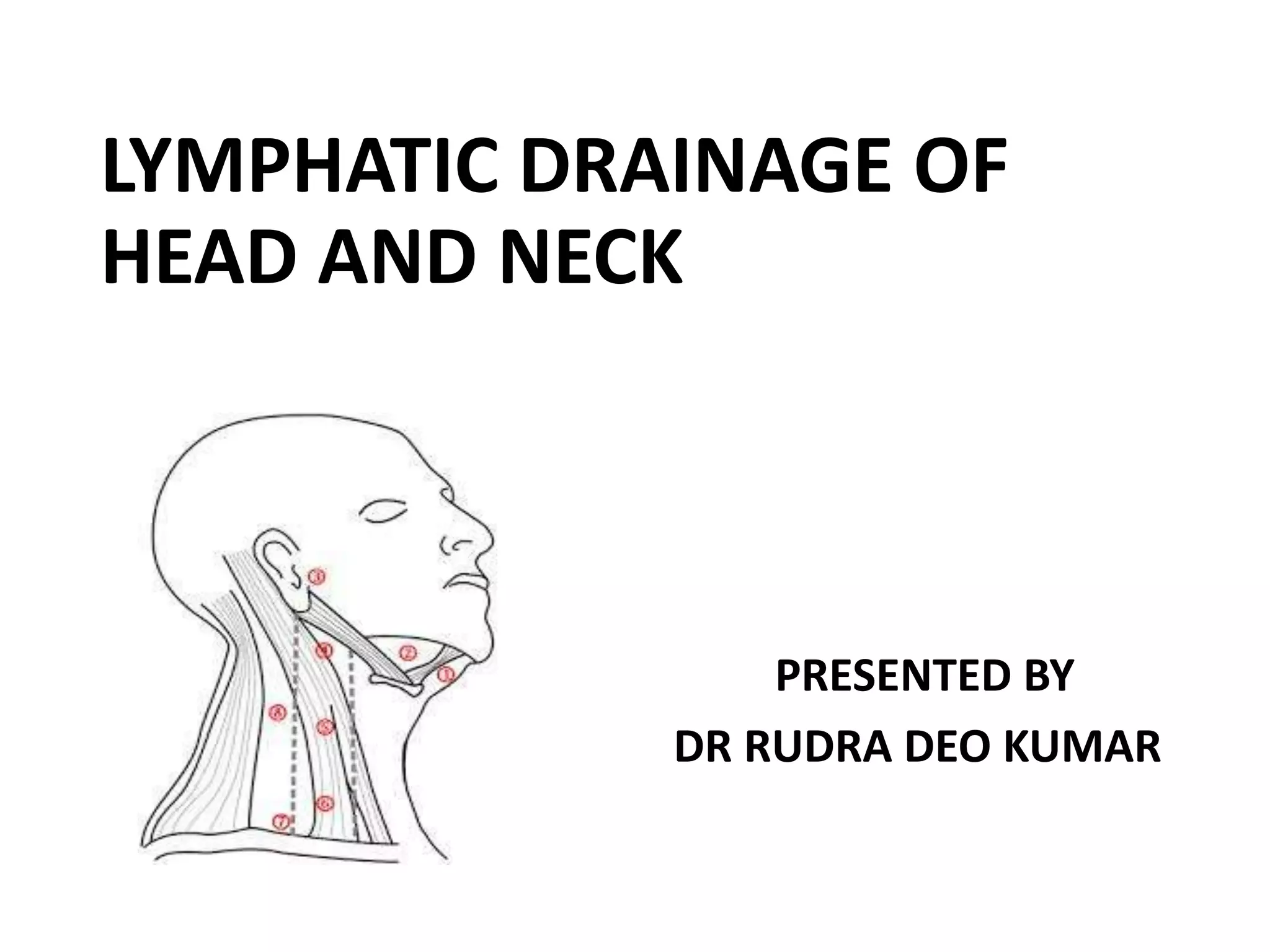 lymphatics of face | PPTX