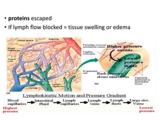 lymphatics of face | PPTX