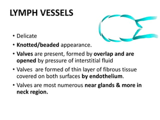 lymphatics of face | PPTX