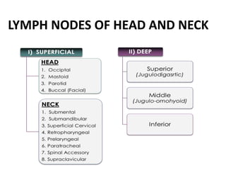 lymphatics of face | PPTX