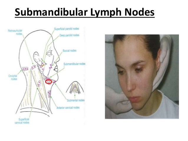 lymphatics of face